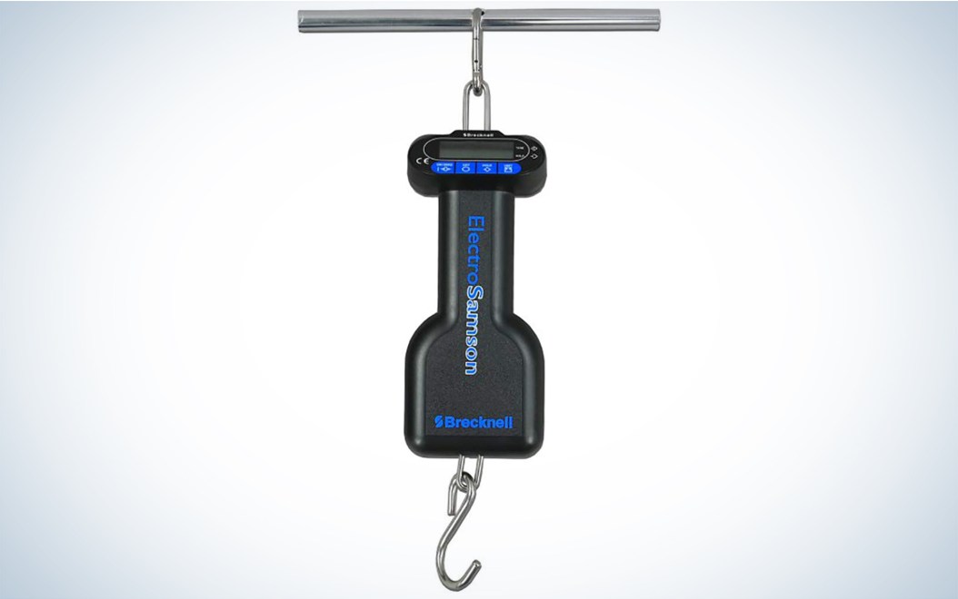 Best Fish Scales of 2024 | Outdoor Life