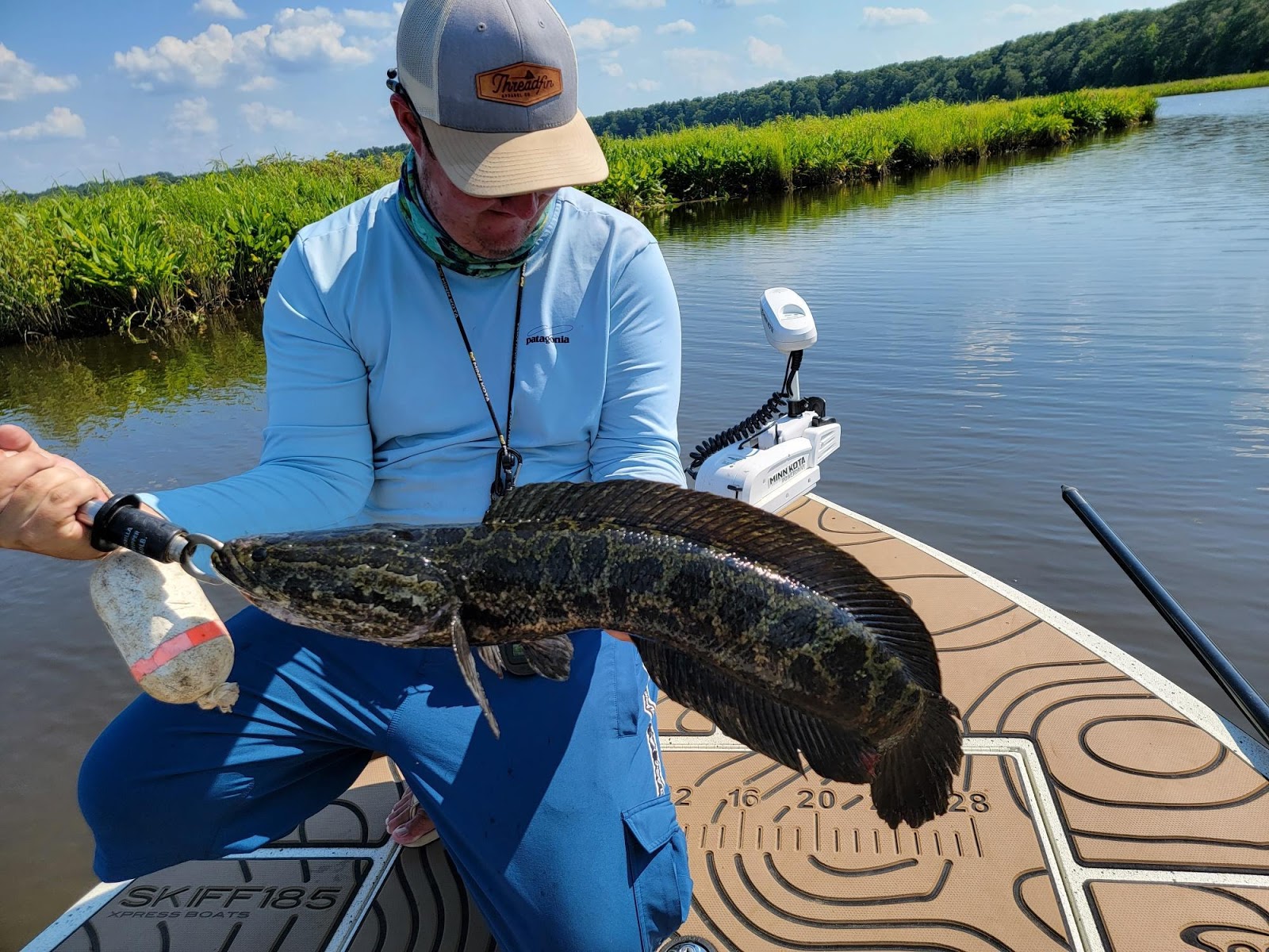 How to Catch Snakeheads | Outdoor Life