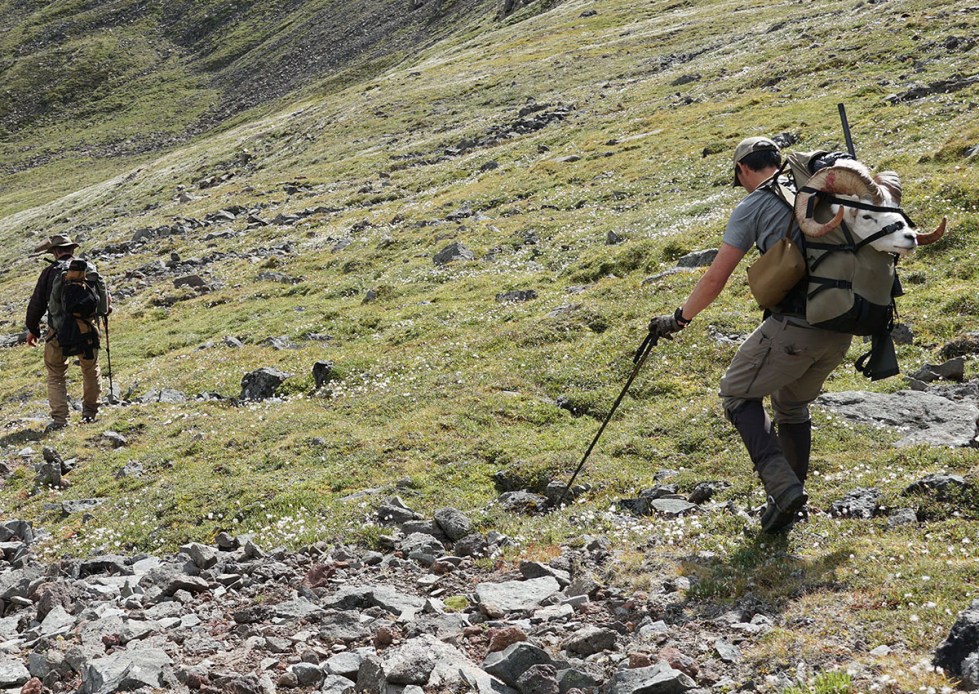 8 Ways Whitetails Communicate with Their Tails, and What Each Means for ...