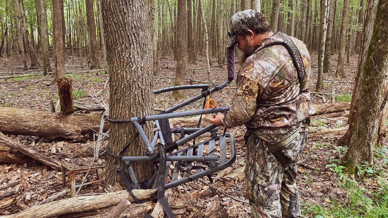 Best Places to Hang Tree Stands for Bowhunting Season | Outdoor Life