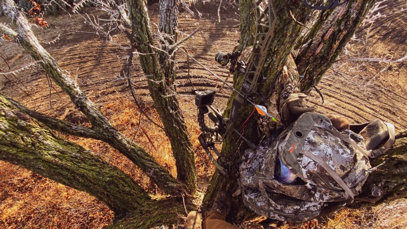 Best Places to Hang Tree Stands for Bowhunting Season | Outdoor Life