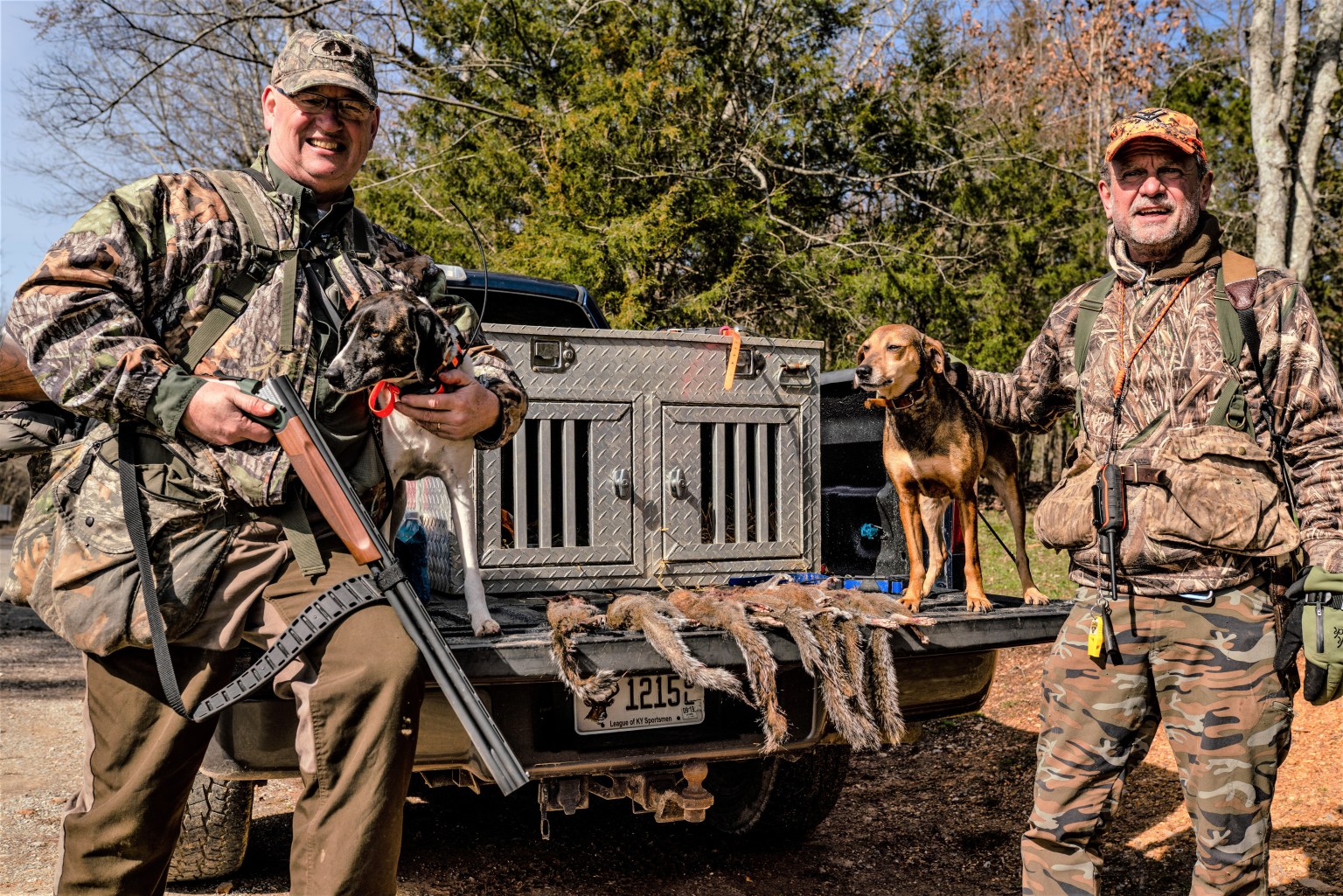 How to Buy and Train a Squirrel Hunting Dog | Outdoor Life