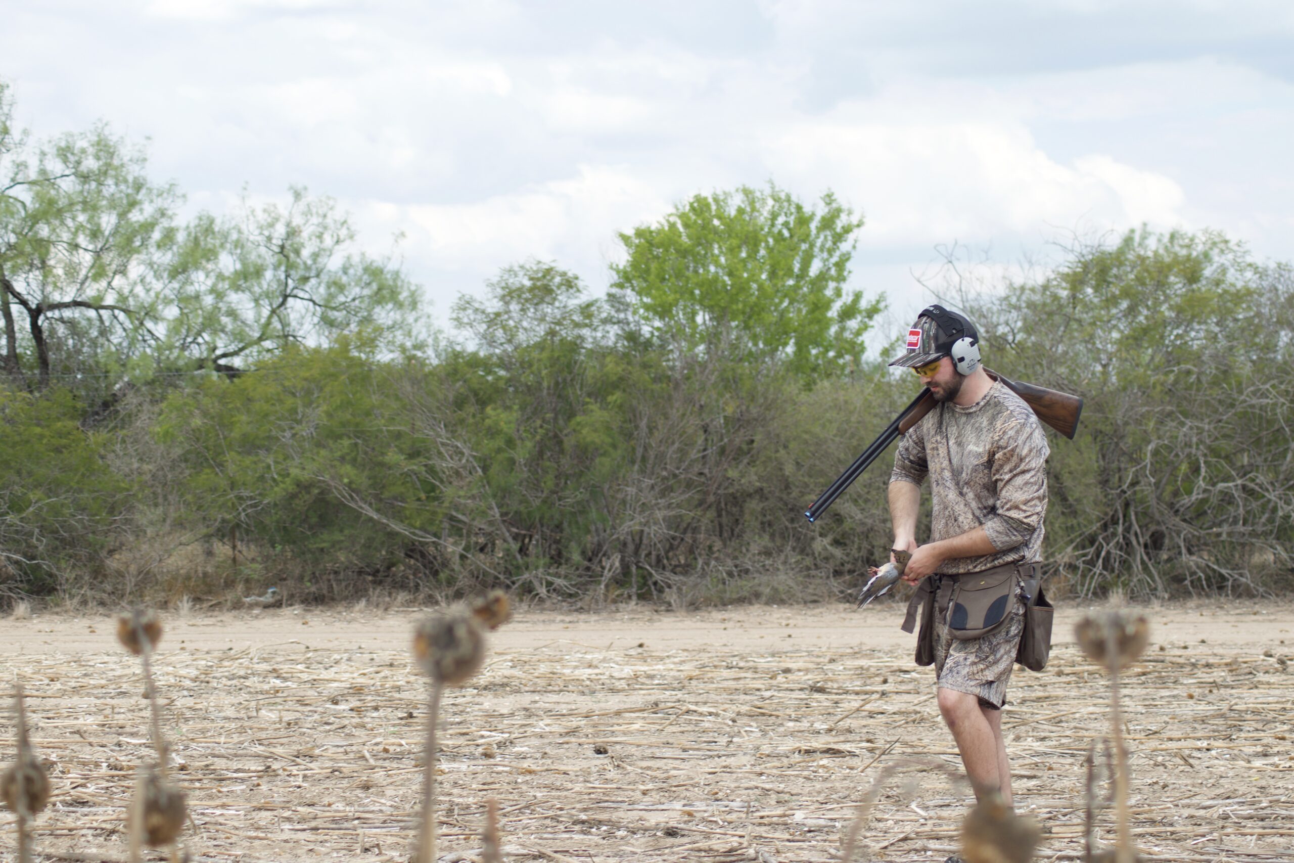 The Best Dove Guns in Every Gauge | Outdoor Life