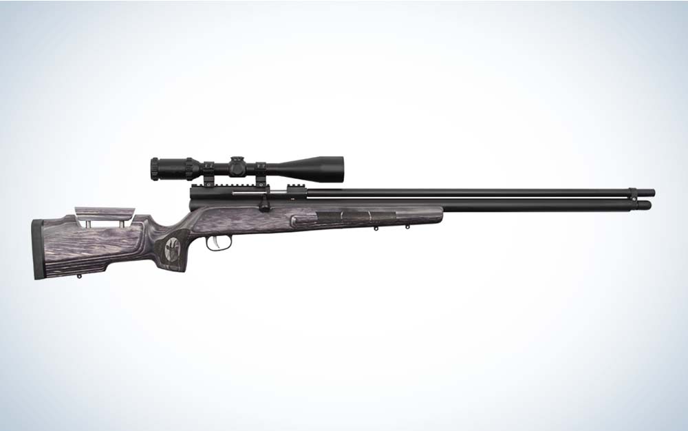 Most Powerful Air Rifles of 2024 | Outdoor Life