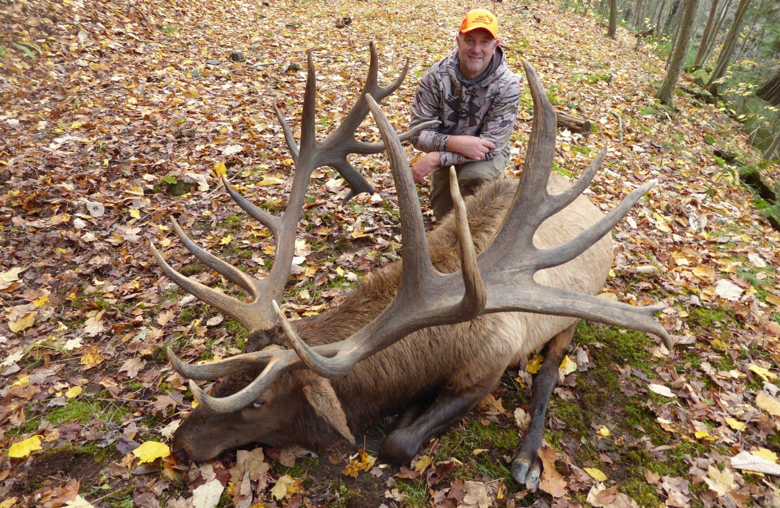 The New World Record Non-Typical Archery Elk