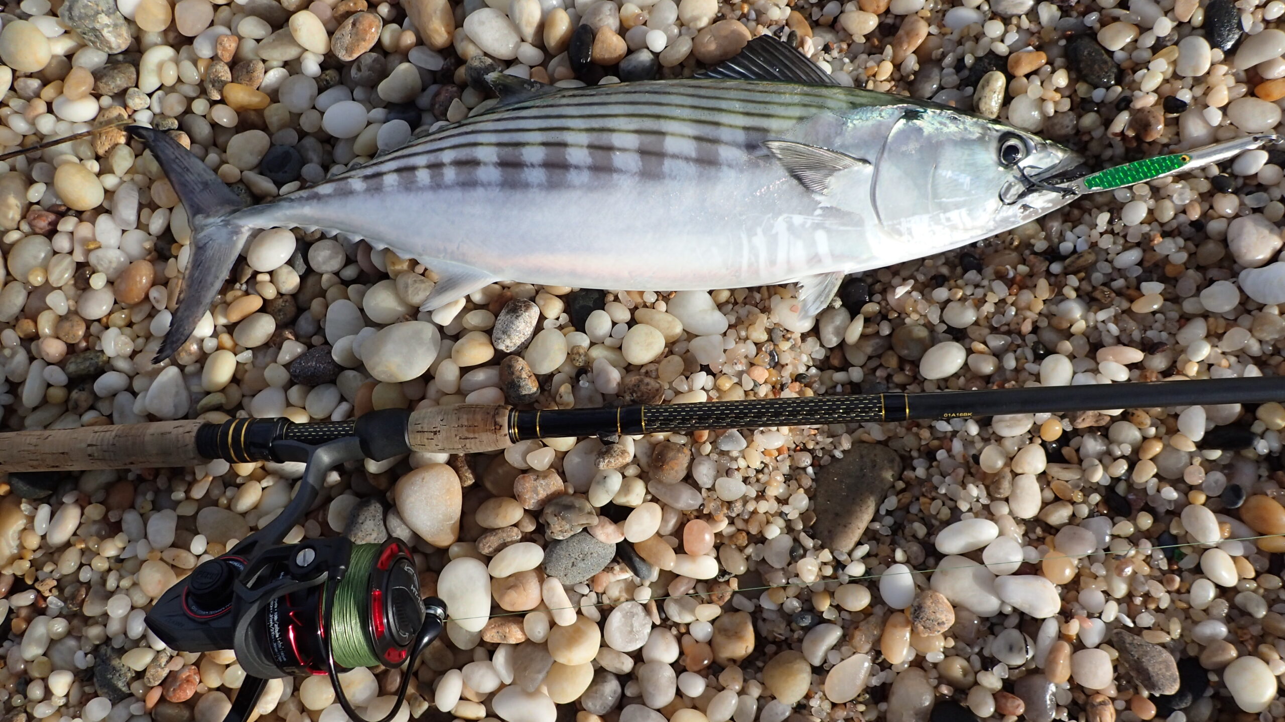 Penn Clash II: A Braid-Friendly, Lightweight Spinning Reel | Outdoor Life