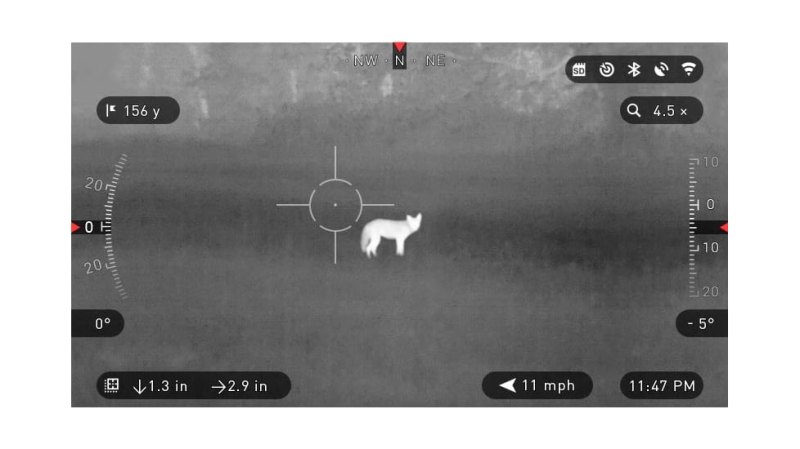 The Best Night Vision Scopes of 2025 | Outdoor Life