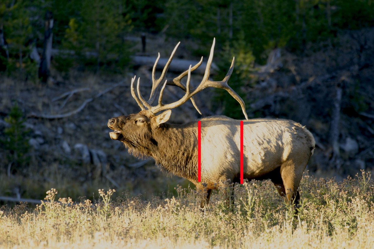 Master Shot Placement on Western Big Game | Outdoor Life