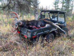 10 of Alaska's Best Custom Moose Buggies | Outdoor Life