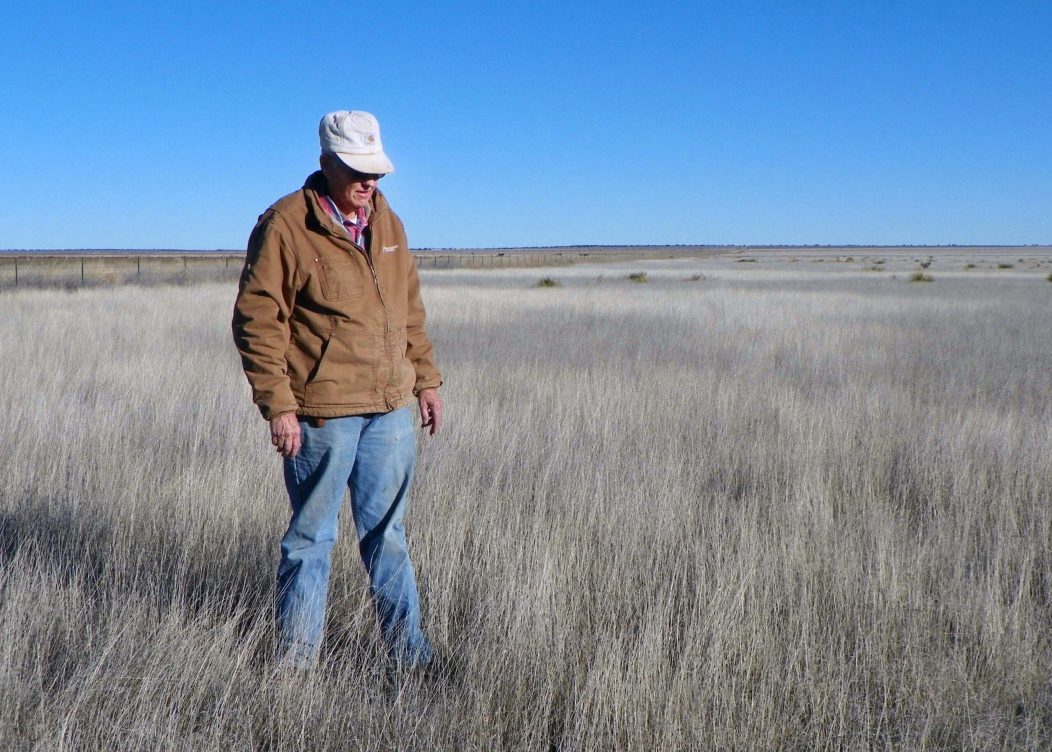 30 by 30 Plan Should Focus on Existing Programs, Say Conservation Orgs ...