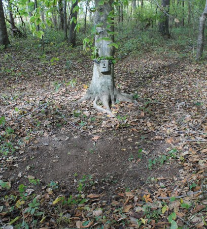 How to Make and Hunt Mock Scrapes | Outdoor Life