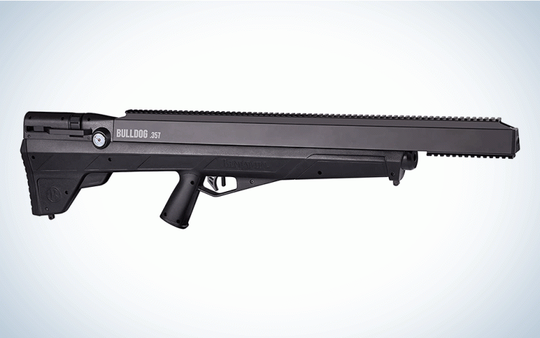 Benjamin Bulldog: A Compact, Multi-Shot Air Rifle | Outdoor Life