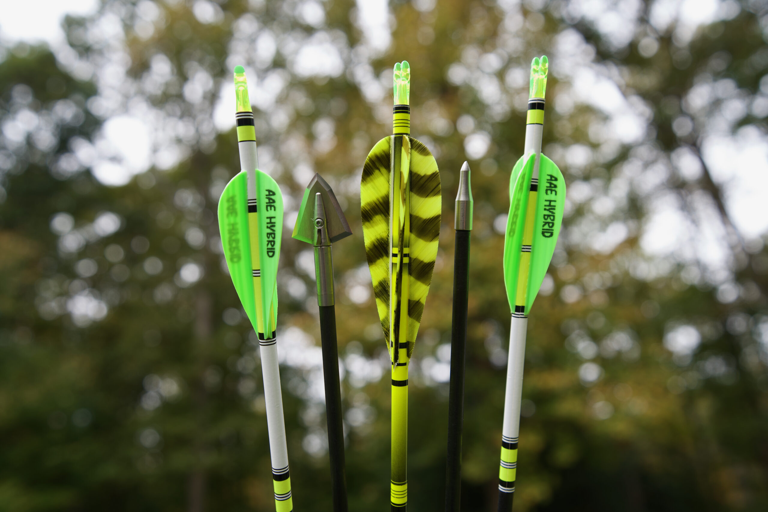 Easton Axis Arrows Review | Outdoor Life