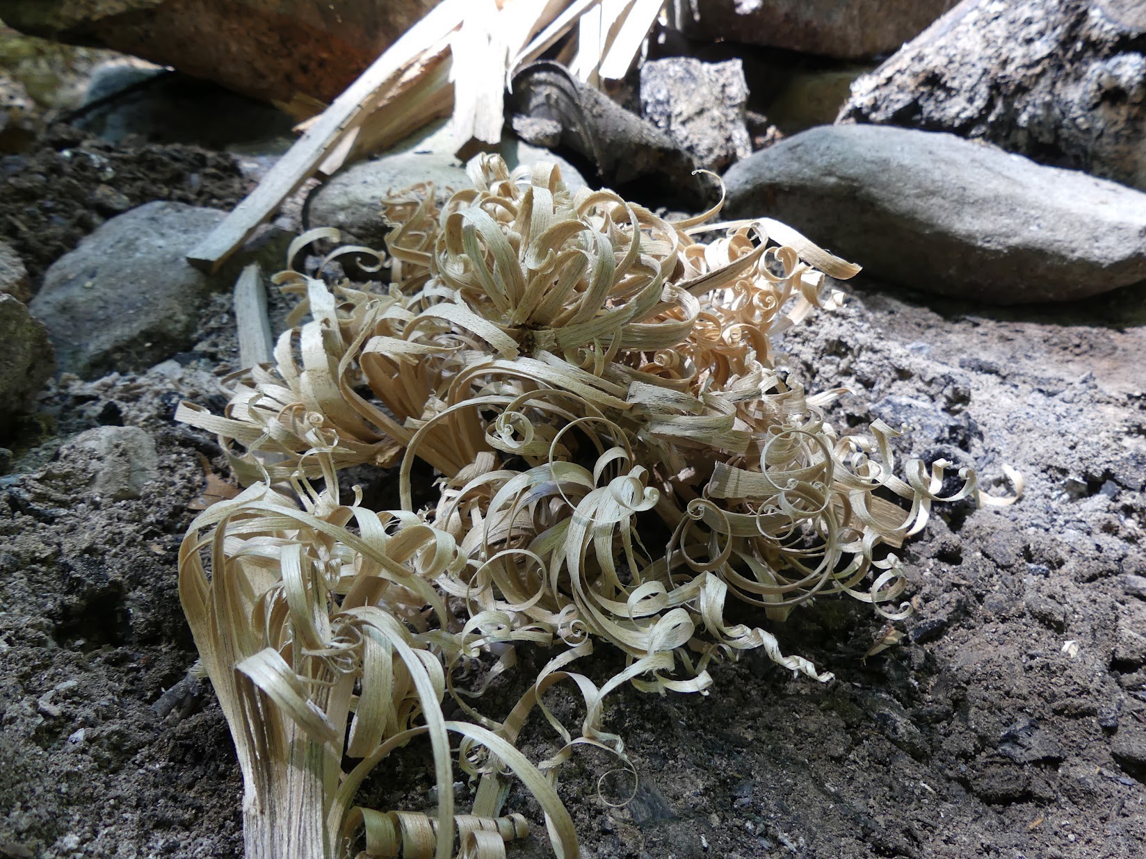 How to Start a Fire | Outdoor Life