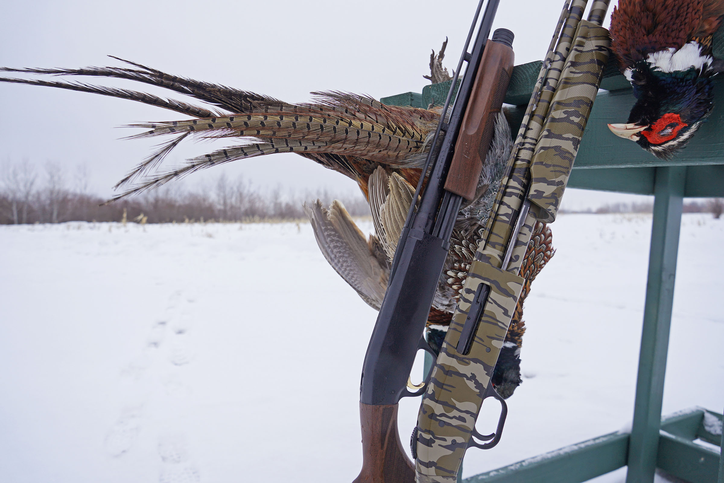 The Best .410 Pump Shotguns | Outdoor Life