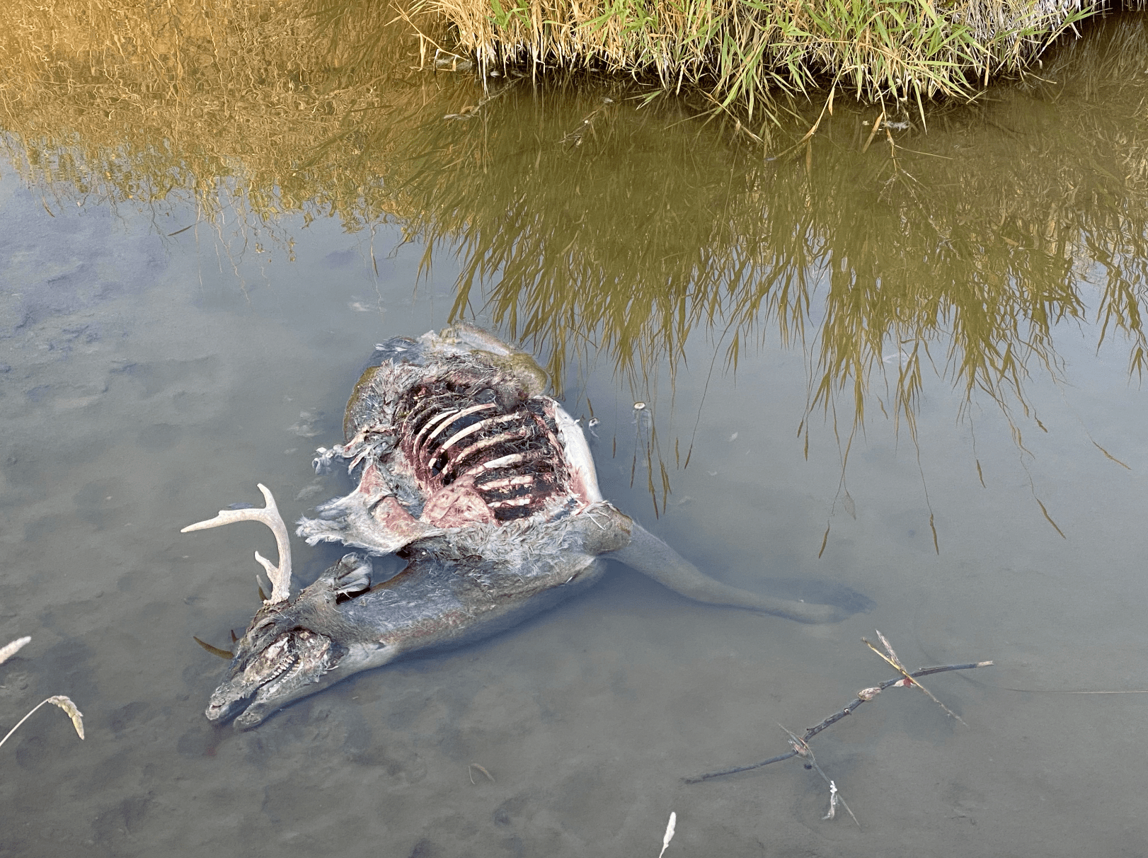 Hunting Montana's Milk River Is Overrated—Until It Isn't | Outdoor Life