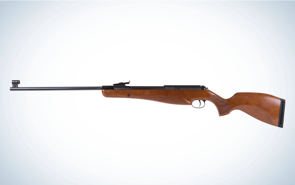 The Best Pellet Guns for 2023 | Outdoor Life