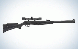 The Best Pellet Guns for 2023 | Outdoor Life