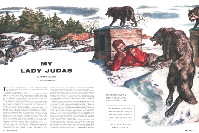 How to Properly Care for and Skin a Wolf Hide