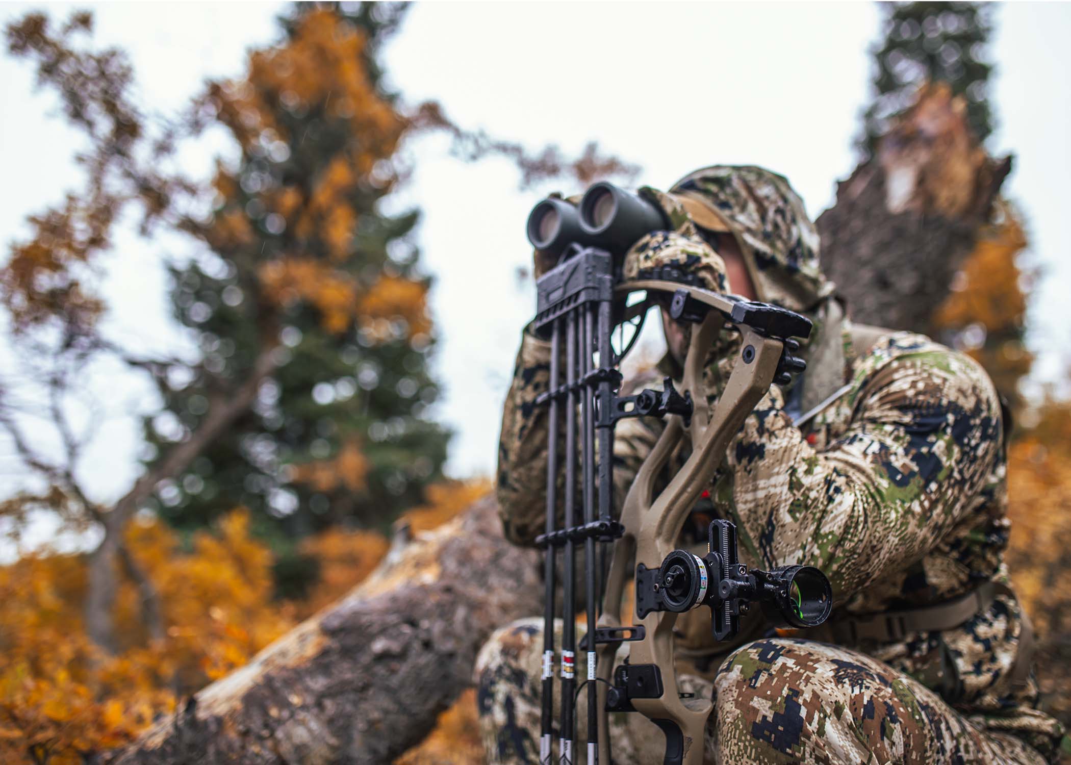 Hoyt Carbon RX-7 Review | Outdoor Life