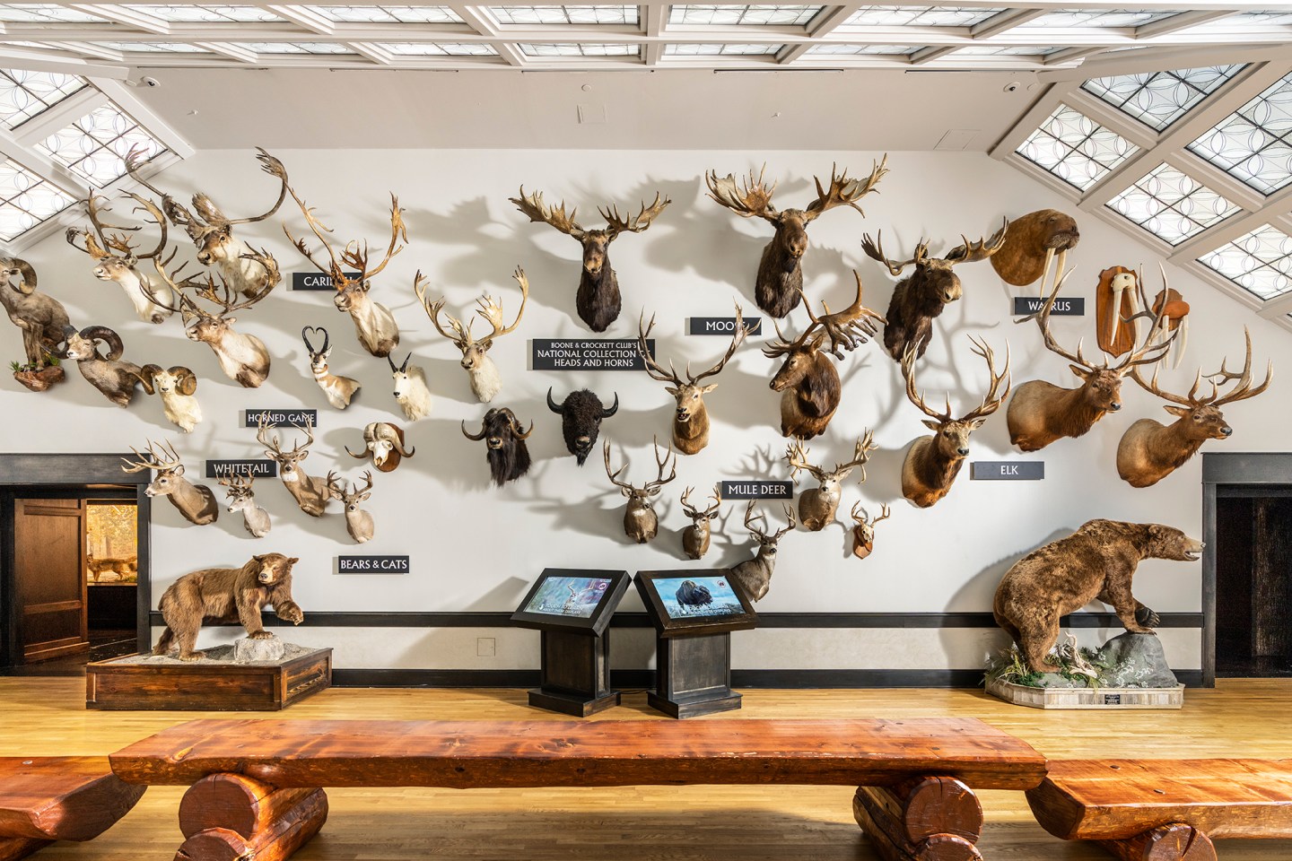 The Future of Trophy Hunting in North America | Outdoor Life
