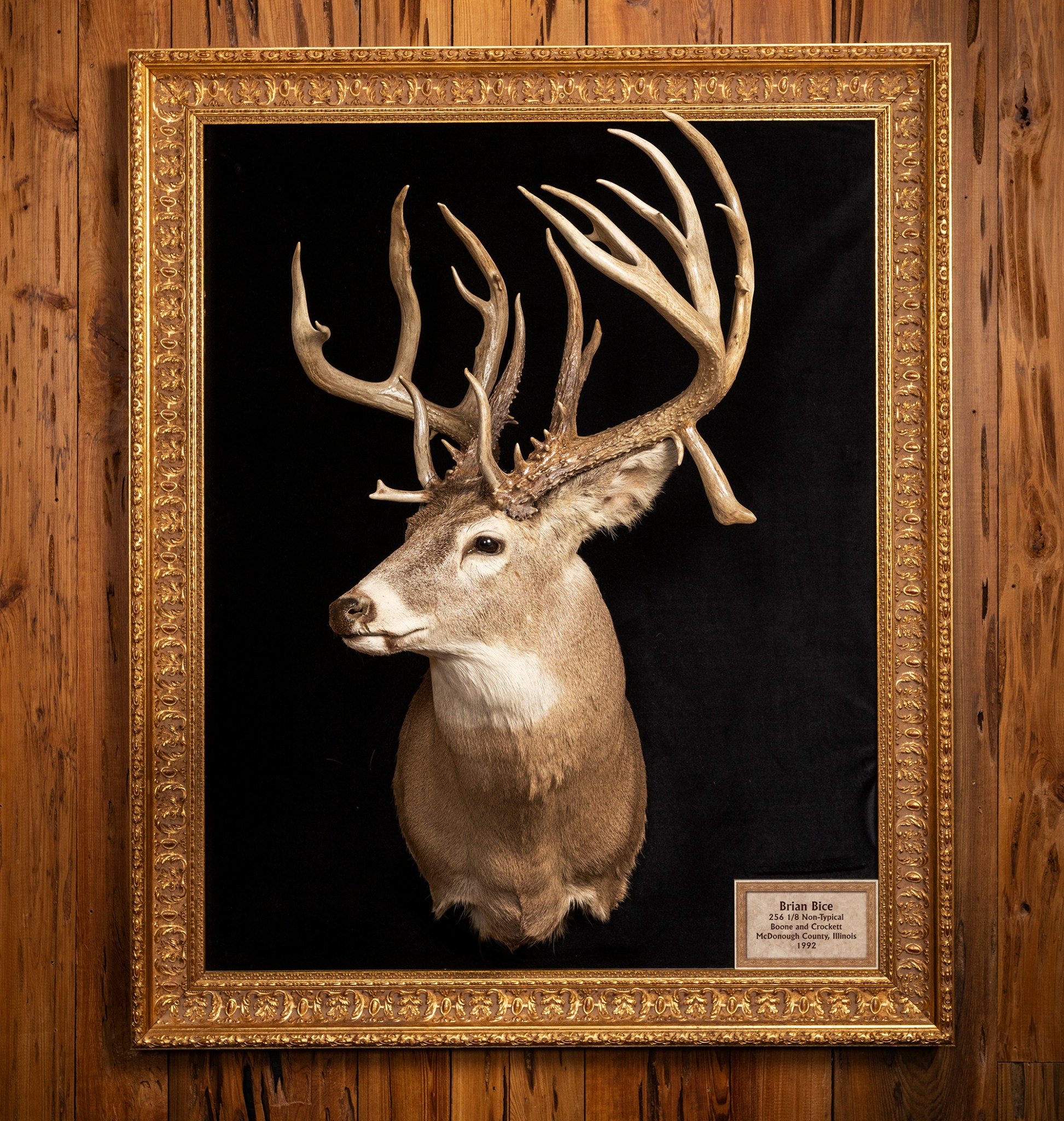 The Future of Trophy Hunting in North America | Outdoor Life