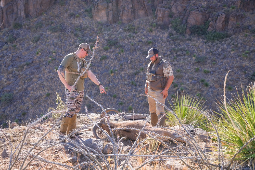 Is "The Poor Man's Sheep Hunt" Really a Sheep Hunt? | Outdoor Life