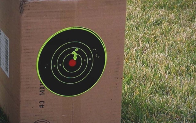 Gamo Swarm Magnum Review | Outdoor Life