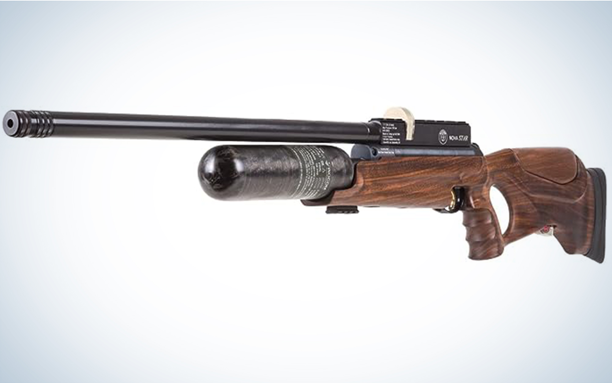 Best .22 Air Rifles of 2023 | Outdoor Life