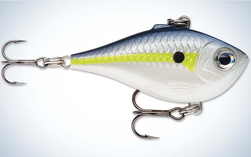 Best Lipless Crankbaits | Outdoor Life