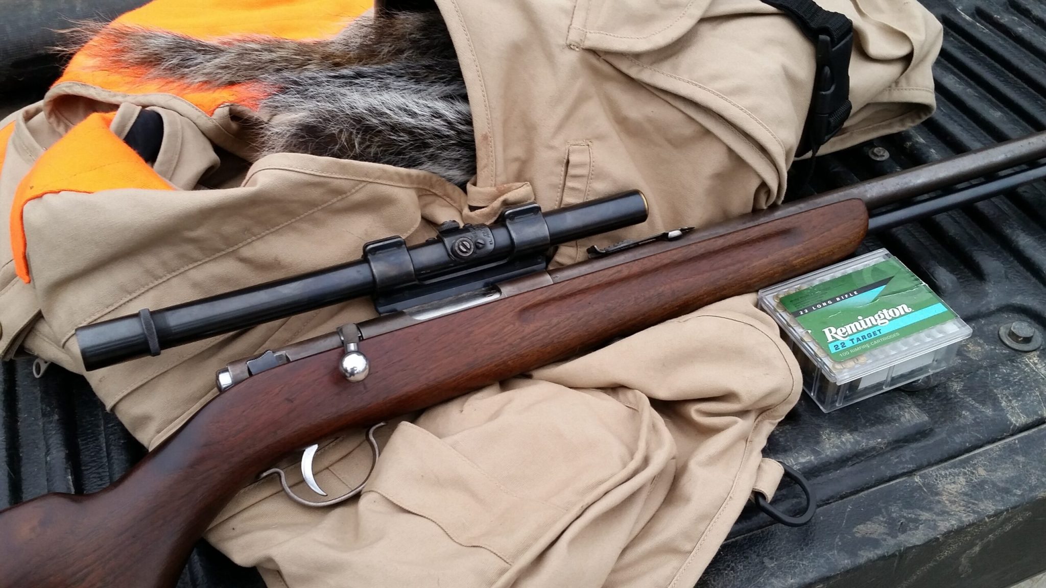 Classic .22 Rimfires That Still Make Great Squirrel Hunting Rifles ...