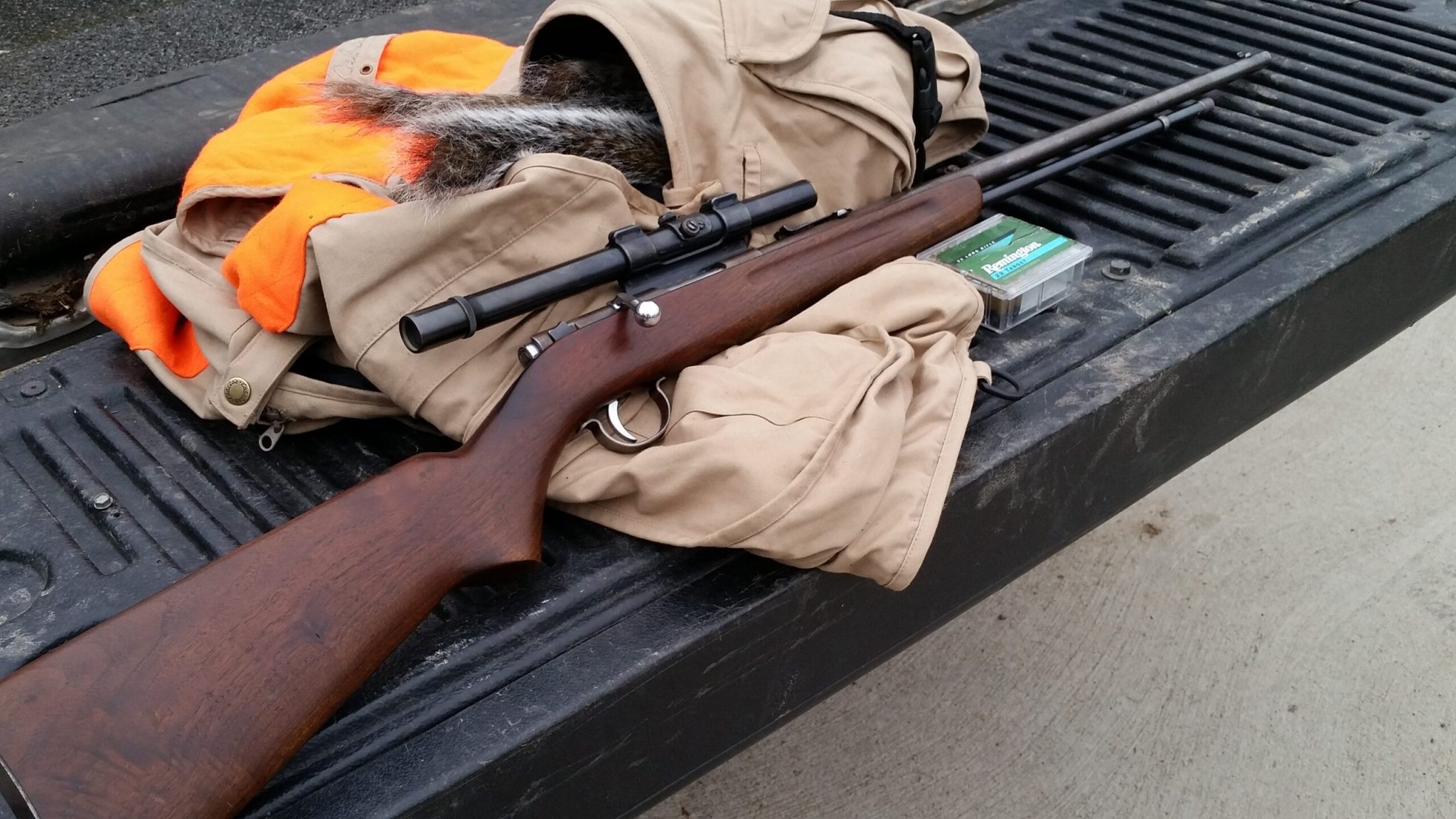Classic .22 Rimfires That Still Make Great Squirrel Hunting Rifles ...