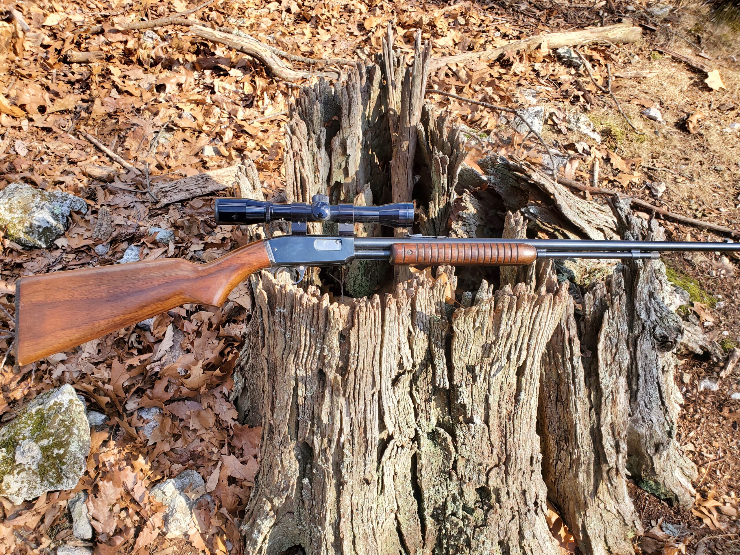Classic .22 Rimfires That Still Make Great Squirrel Hunting Rifles ...