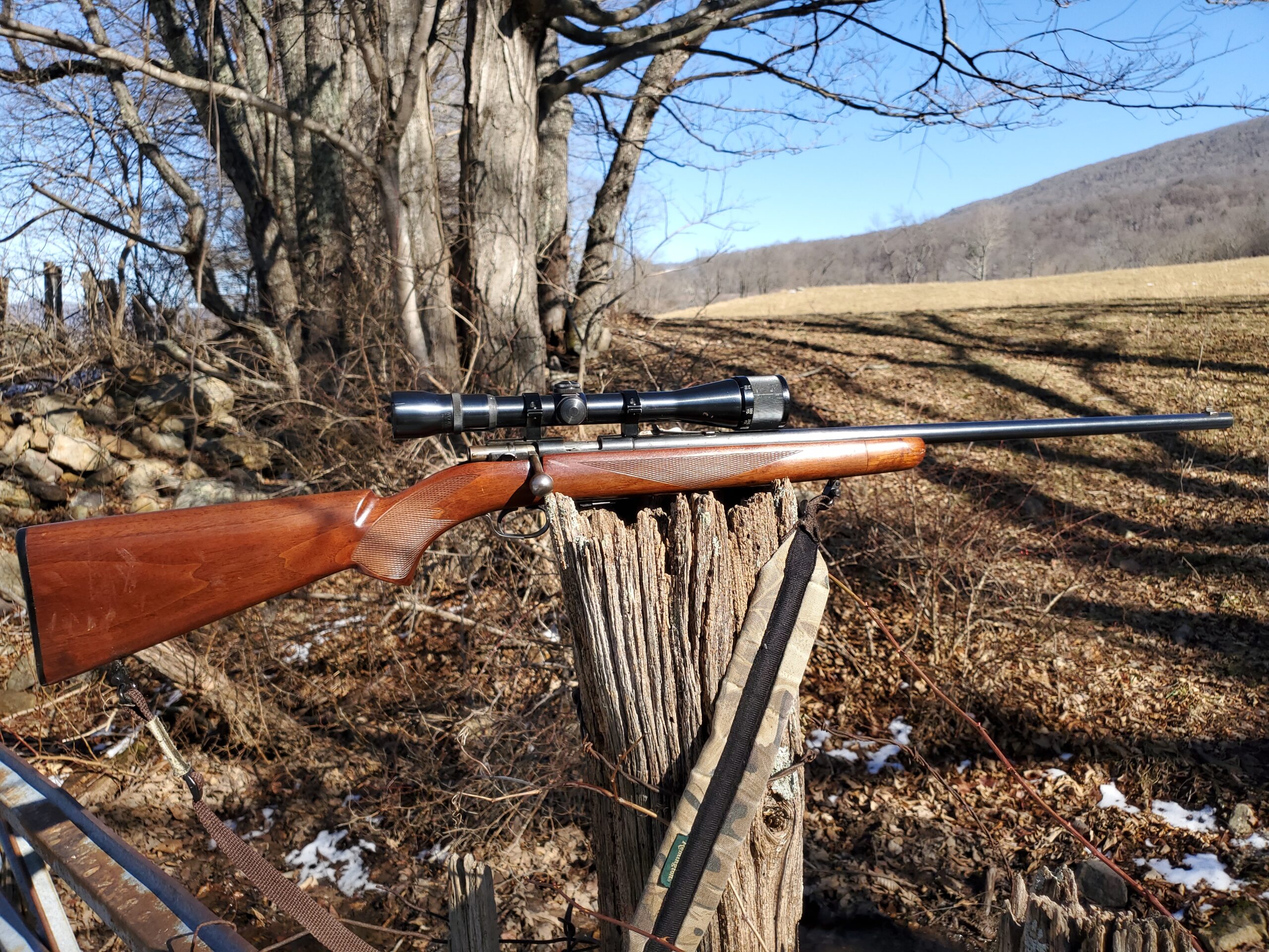Classic .22 Rimfires That Still Make Great Squirrel Hunting Rifles ...
