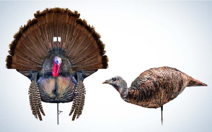 Best Turkey Decoys of 2024, Tested and Reviewed | Outdoor Life