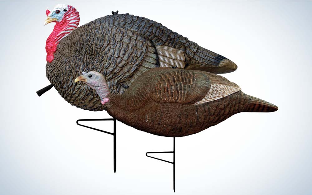 Best Turkey Decoys of 2023, Tested and Reviewed | Outdoor Life