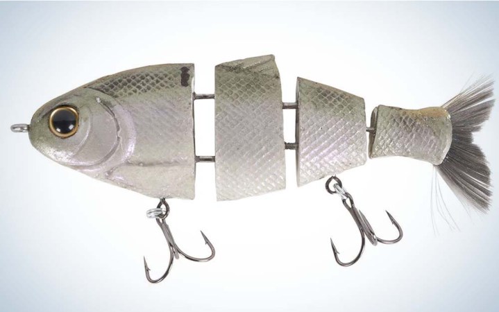 Best Swimbaits for Bass | Outdoor Life