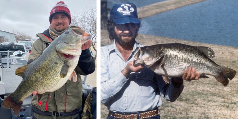 Hybrid Tiger Bass Could Be the Key to Trophy Largemouth in the Mid ...