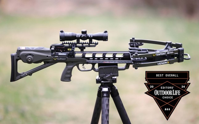 Best Crossbows for the Money | Outdoor Life