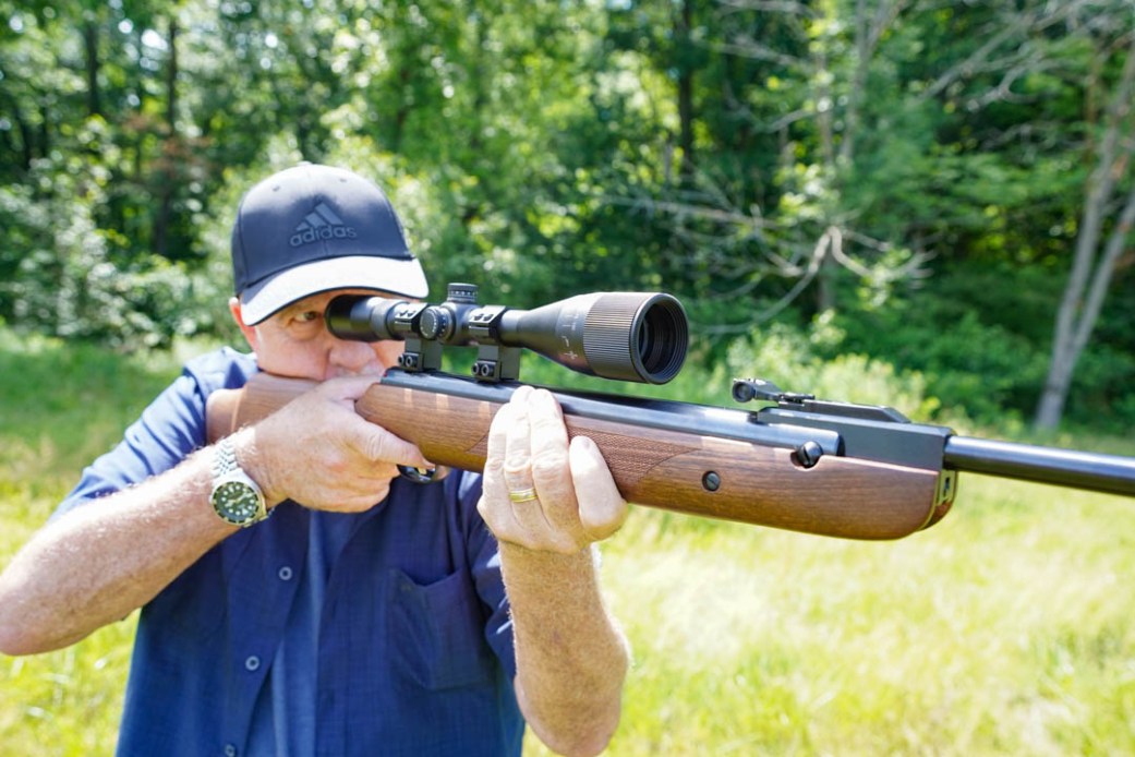 Best .22 Air Rifles of 2024, Range and Field Tested - WildscapeOutfitters