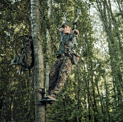 The 6 Best Tree Species for Planting a Deer Orchard