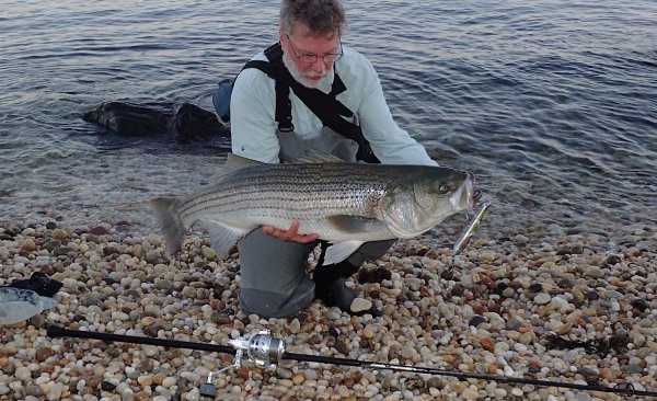 The Best Lures and Live Baits for Striped Bass | Outdoor Life