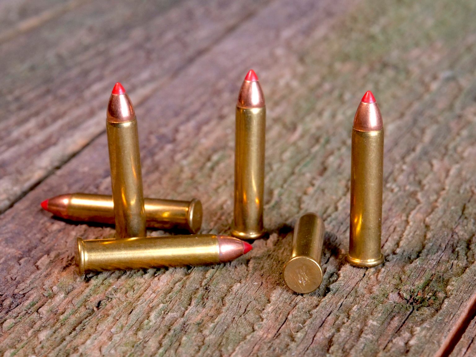 .22 WMR: The Most Powerful Rimfire of All Time | Outdoor Life