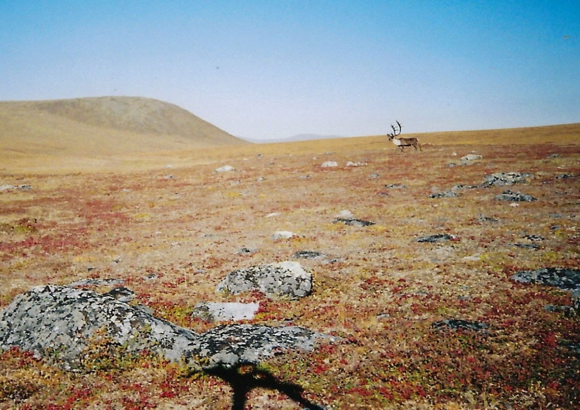 The Craziest Thing This Legendary Frontiersman Ever Saw in Alaska ...