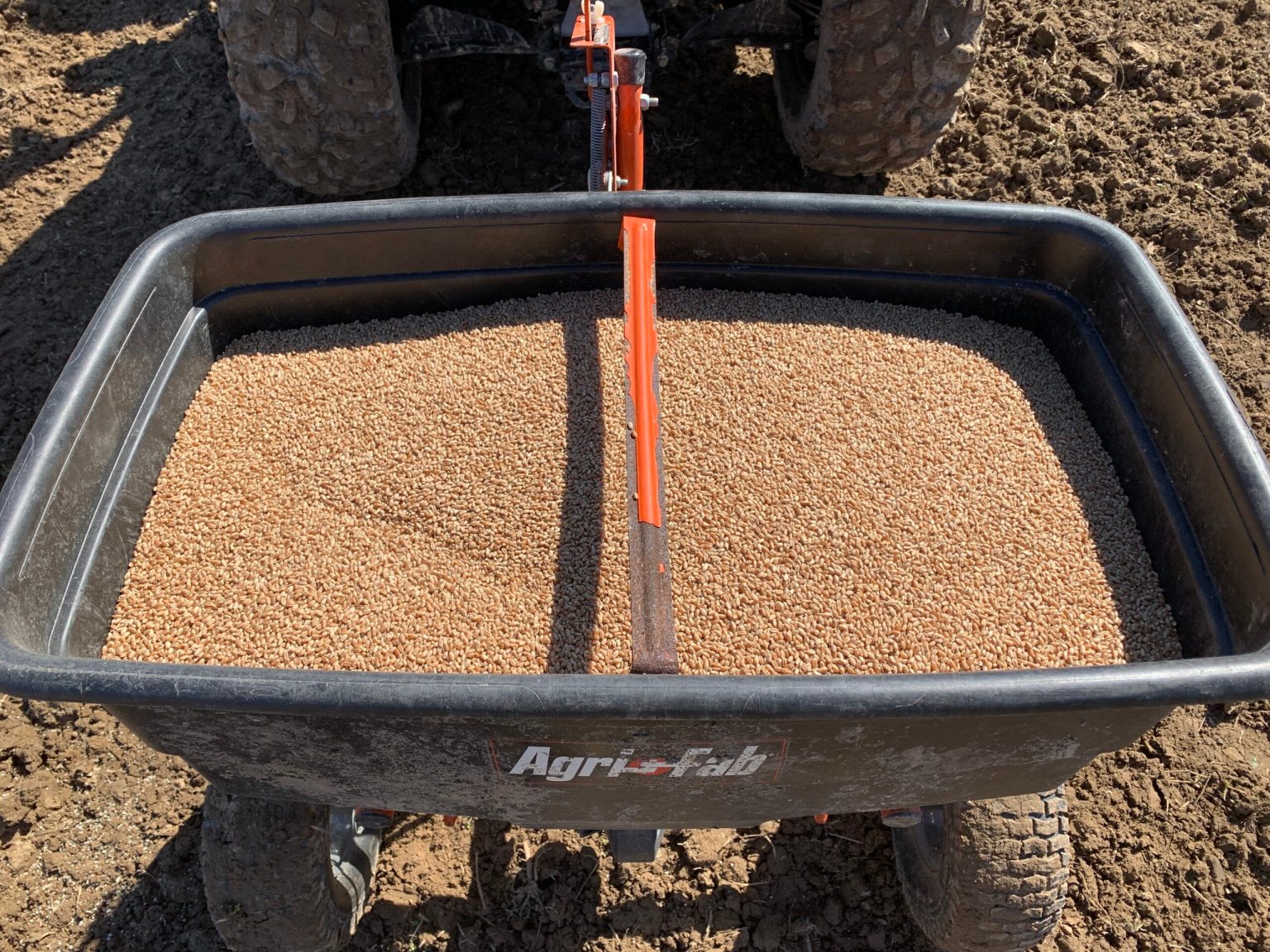 How to Easily Plant a Dove Field | Outdoor Life