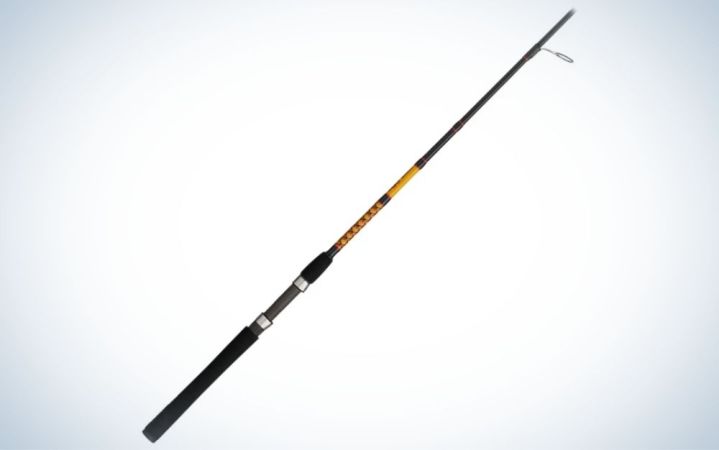 The Best Saltwater Fishing Rods for 2024, Tested