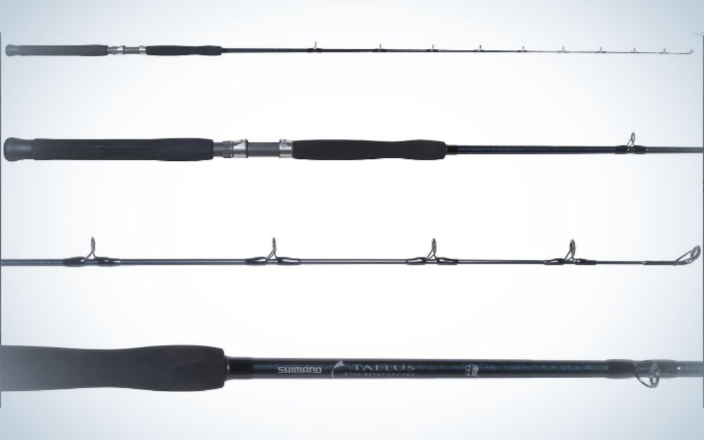 The Best Saltwater Fishing Rods for 2022 | Outdoor Life