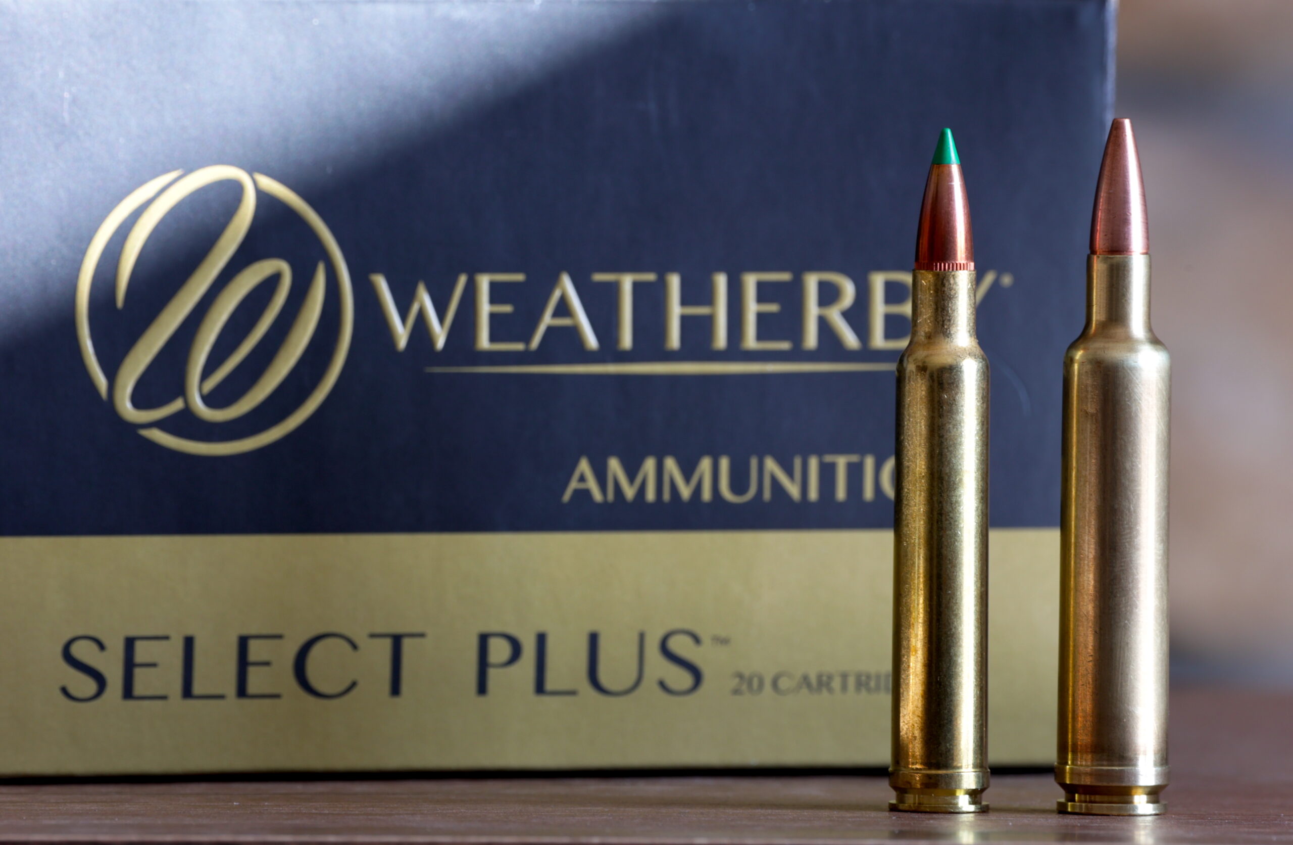 Fastest .30-Caliber Cartridge in the World: .30-378 Weatherby | Outdoor ...