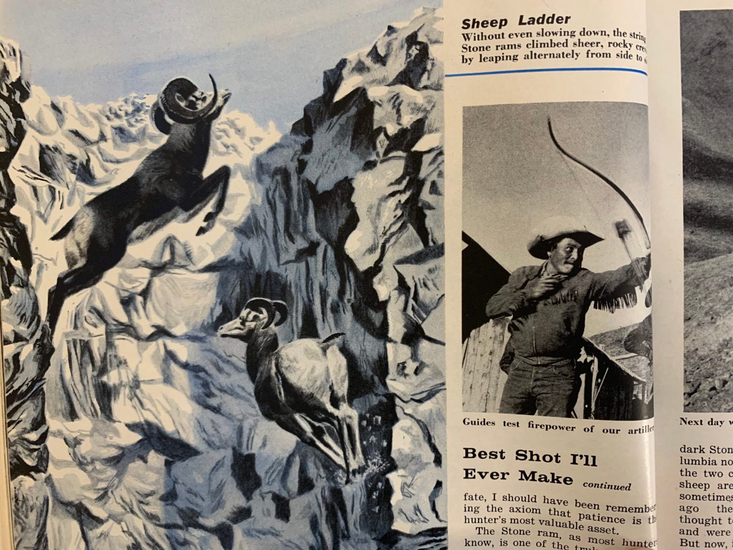 Best Shot I'll Ever Make: Fred Bear's Record Stone Sheep | Outdoor Life