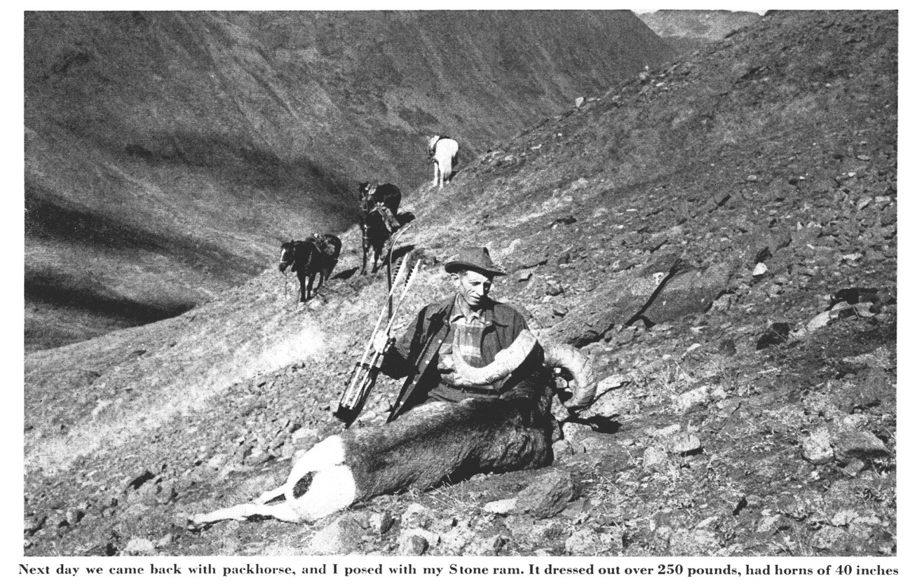 Before Fred Bear Became an Archery Legend, the IRS Nearly Shut Down His ...